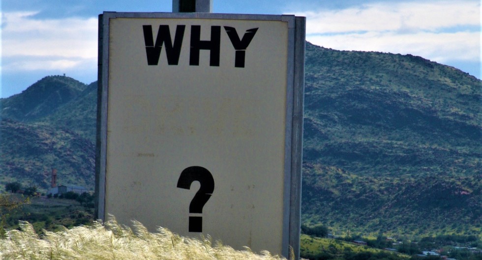 ASKING WHY | this is... The Neighborhood